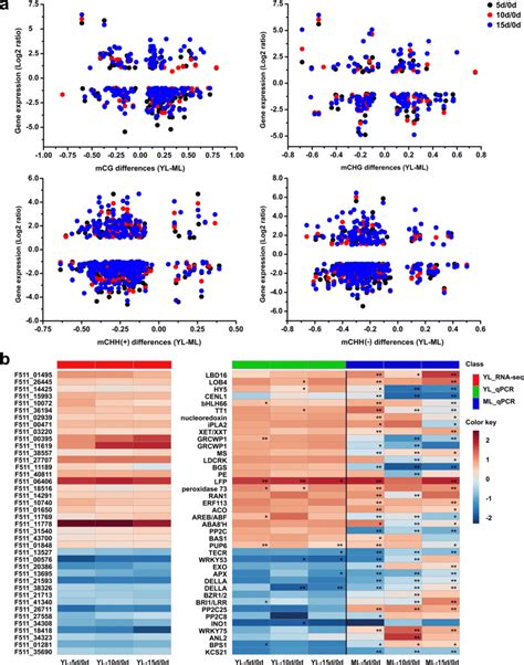 Relationship Between Dna Methylation And Gene Expression A Correlation Download Scientific