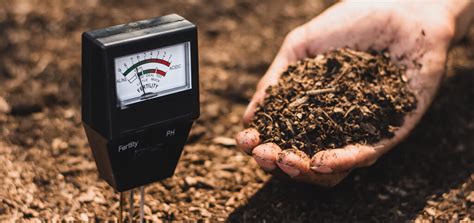 The Importance Of Soil Analysis How To Guide AGRIVI