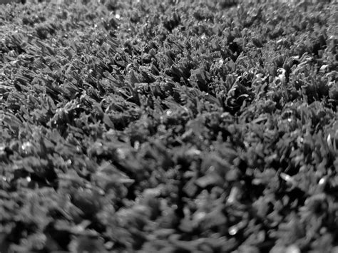 Black And White Grass Background Close View Grayscale Grass Photo