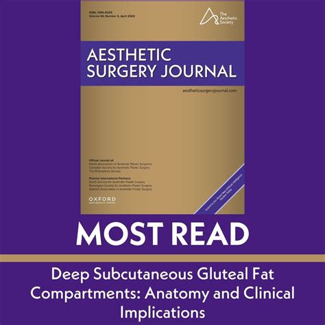 Gluteal Fat Grafting A Cadaveric Study Aesthetic Surgery Journalasj