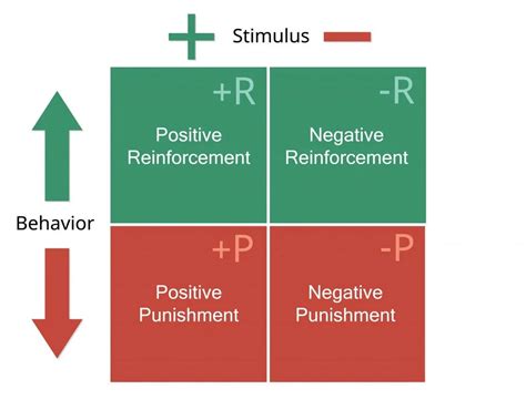 What Is The Difference Between Punishment And Negative Reinforcement