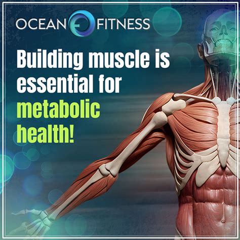 Building Muscle Is Essential For Metabolic Health