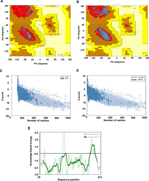 Validation Of Gpc3 Protein Structure Using The Prosa Server And Download Scientific Diagram