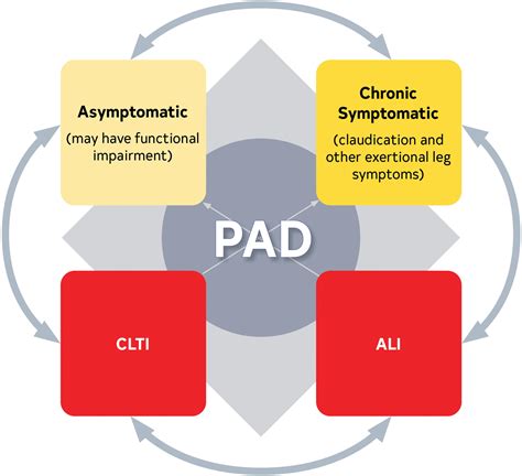 2024 Acc Aha Aacvpr Apma Abc Scai Svm Svn Svs Sir Vess Guideline For The Management Of Lower