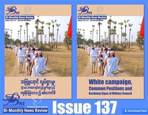 အဖြူရောင်လှုပ်ရှားမှု၊ ဘုံသဘောထားရပ်တည်ချက်များနှင့် ကျရိပ်ပြလာသည့် စစ်ကောင်စီ