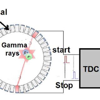 TDC Collects The Timing Information In A ToF PET System Download Scientific Diagram