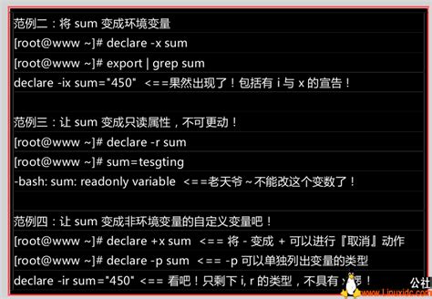 Linux Declare的用法linux基础教程：linux Declare 命令 Csdn博客