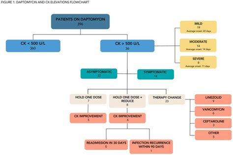 328 One Day Holiday An Approach To Managing Daptomycin Induced Ck