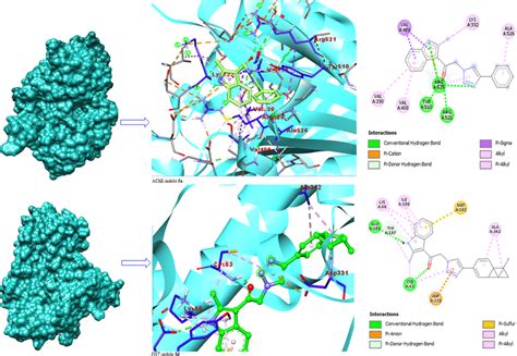 The 2d And 3d Interaction Diagram Of Enzymes And Indole Compounds Ache