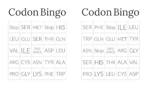Protein Synthesis Activity Codon Bingo Transcription And Translation