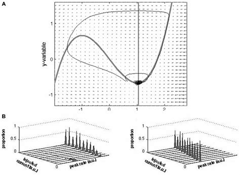 Vector Field Nullclines Trajectories And Peak Rate Distributions Of
