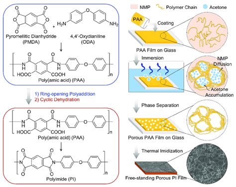 Schematic Illustration Of The Fabrication Process Of Hierarchically Download Scientific Diagram