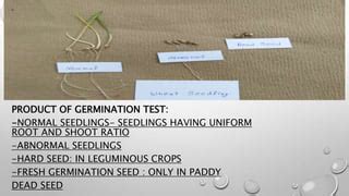 Seed Testing PPT