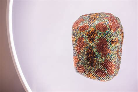 La Société Des Nouveaux Commanditaires RÉespiration Samuel Bianchini