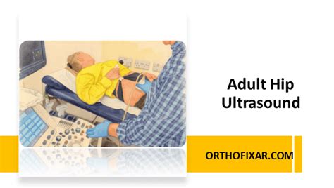 Adult Hip Ultrasound Imaging Orthopedic Learning
