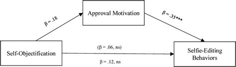 Womens Self Objectification And Strategic Self Presentation On Social Media Shilei Chen
