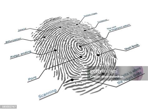 Fingerprint Detector Photos And Premium High Res Pictures Getty Images