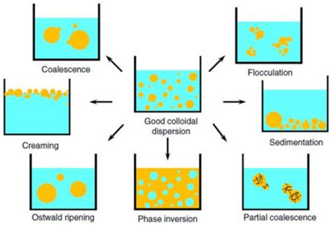 Applied Sciences Free Full Text Critical Review Of Techniques For Food Emulsion Characterization