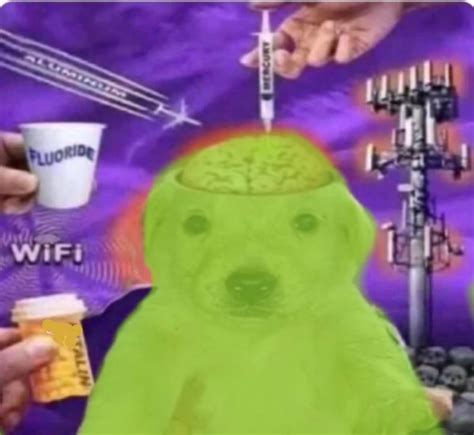 Create A Secret Group Chat Movies 1 Tier List Tiermaker