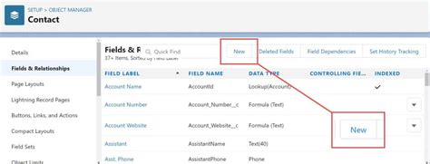 Salesforce Email Field