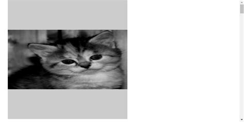 Html Css3 Flex Stretches The Image Instead Of Centering It Stack
