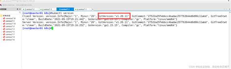 【云原生】二进制部署k8集群（上）搭建单机matser和etcd集群etcd Certsh Csdn博客