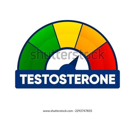 Meter Testosterone Hormone Level Measuring Scale Stock Vector Royalty