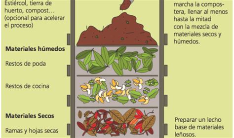 ¿que Es El Compost Y Cómo Prepararlo Semilla Viva