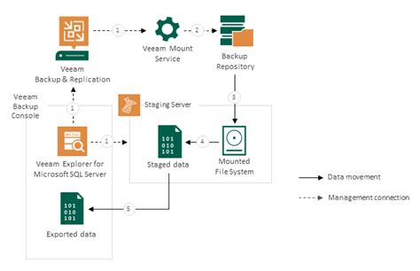 Sql Database Export Question On How It Process Veeam Community Resource Hub