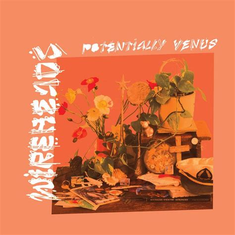 Wireheads Potentially Venus Album Review — Post Trash