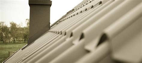 Do Mice Hibernate Keeping Rodents Out Of Your Home Abc Blog