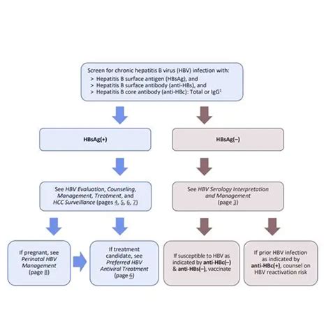 Hepatitis B Monitoring Panel Cost In Delhi Test Price Near Me India Gdic
