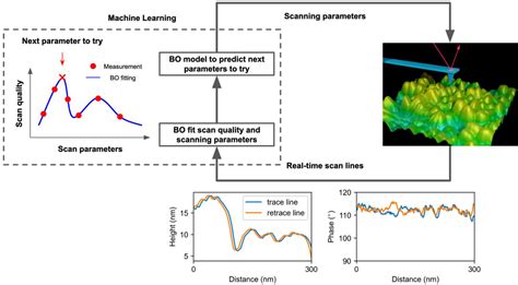 논문 리뷰 Machine Learning Based Reward Driven Tuning Of Scanning Probe Microscopy Towards Fully