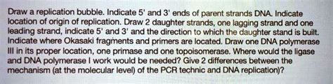 Draw A Replication Bubble Indicate 5 And 3 Ends Of Parent Strands Dna Indicate Location Of