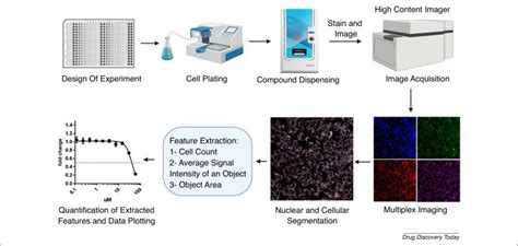 Cell Based High Throughput Screening Techniques Creative Bioarray Creative Bioarray