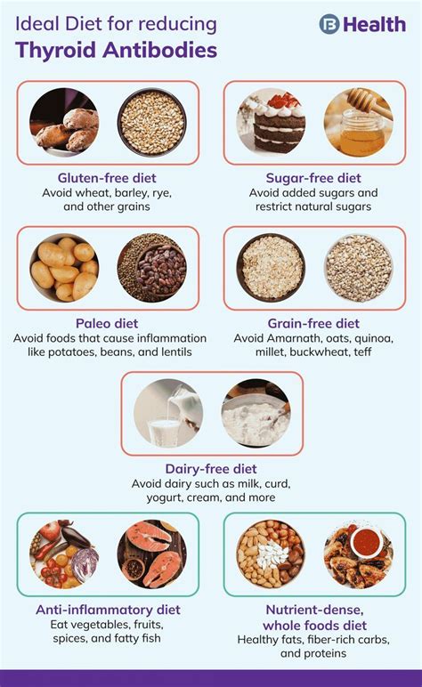 Reasons For Elevated Thyroid Antibodies At Kate Wardill Blog