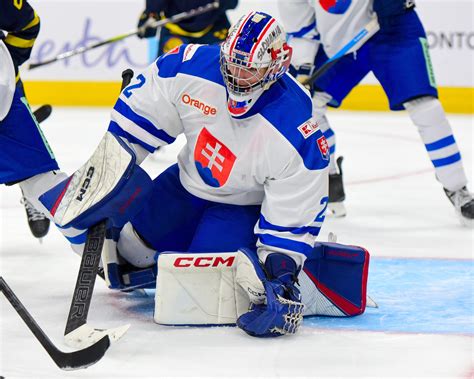 Michal Pradel 2025 Nhl Draft Prospect Profile The Hockey Writers