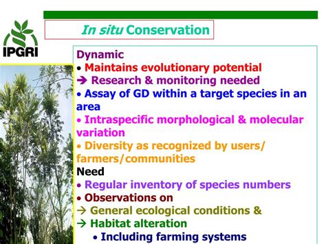Ppt In Situ Conservation Of Forest Genetic Resources Principles And Practices Ramanatha Rao