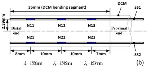 A Assembly Of Shape Sensors To The Dcm 22 B Arrangement Of Fbg