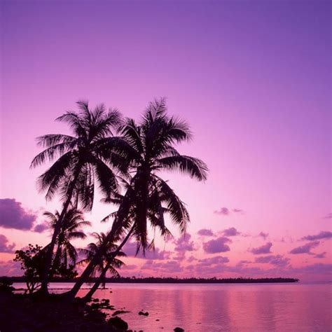 أبو جابر الباحوث Youtube