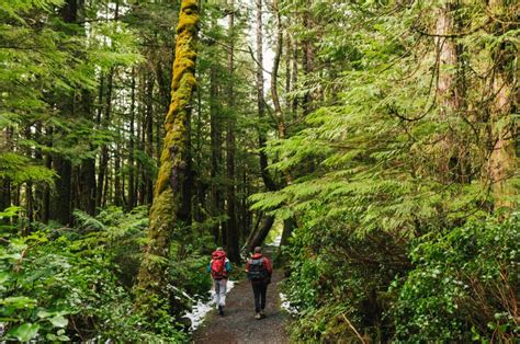The Top Hikes In Vancouver Island North Vint
