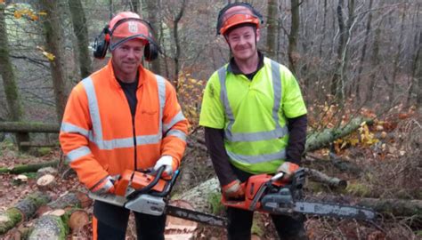 ICC 2 Basic Tree Felling Techniques Chainsaw Training Lake District Arboriculture Training