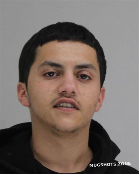 Hernandez Marcus 02112024 Dallas County Mugshots Zone