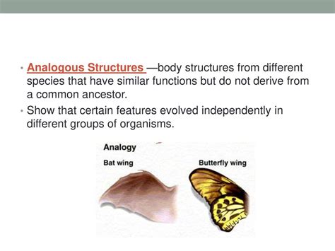 Chapter 15 Theory Of Evolution Ppt Download