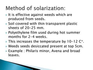 Role Of Mulching And Solarization In Weed Management Pptx