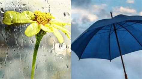 Ի՞նչ եղանակ է սպասվում այս շաբաթ Youtube