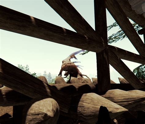 Secretly You Sons Of The Forest