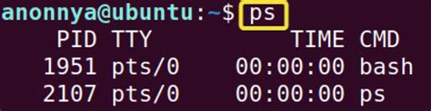 The Ps” Command In Linux 9 Practical Examples Linuxsimply