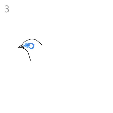 Mockingbird Easy Drawing At Nicholas Bruny Blog