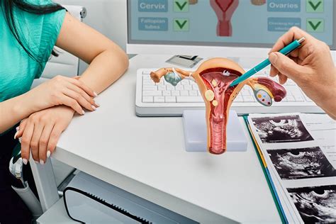 Endometrium Adalah Kenali Fungsi Hingga Jenis Gangguannya